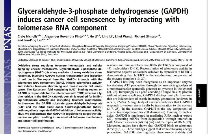 【文献翻译】甘油醛-3-磷酸脱氢酶(GAPDH)通过与端粒酶RNA组分相互作用诱导癌细胞衰老 - 知乎