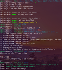 2025年c++import std使用 - 知乎
