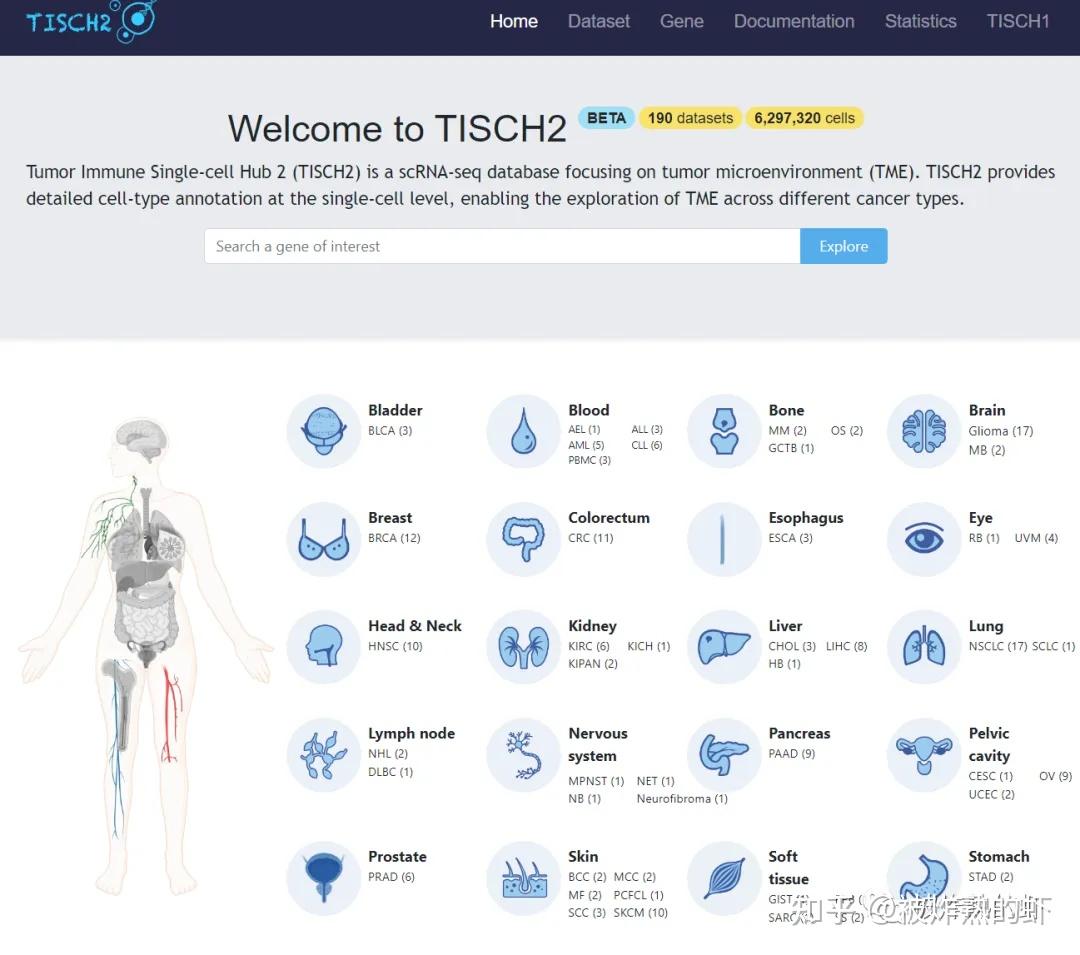免疫微环境 | 单细胞数据库TISCH2 - 知乎