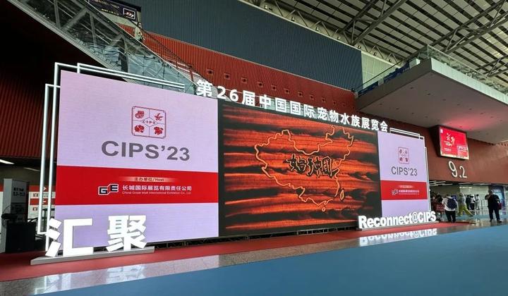 展迅动态︱REPTIZOO携新品闪耀CIPS 2023 - 知乎