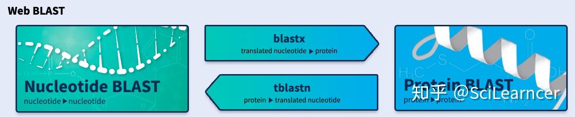 做基因序列比对，哪位大神能说一下详细步骤。用blast分析之后，该怎么做？ - 知乎