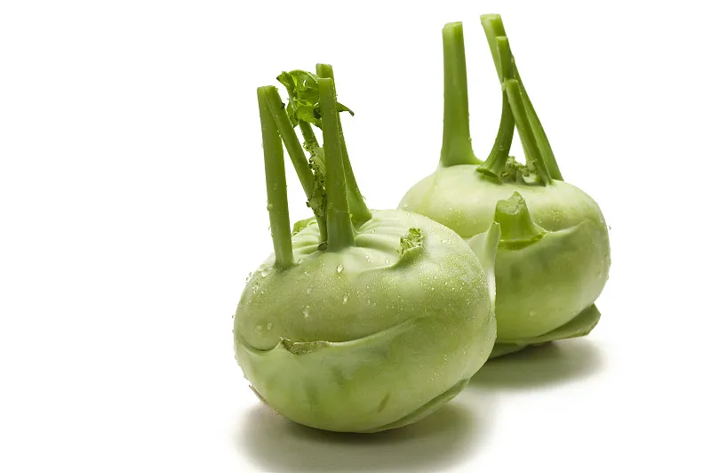 藻类生物燃料生产商Viridos获500万美元融资；日本投入千亿日元通过生物制造促进一碳循环 - 知乎