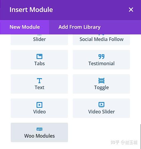 Divi Builder 进阶【01】Divi 改进模块 Divi WooCommerce Modules - 知乎