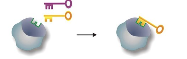 蛋白质binder设计的三代演进：从 Rosetta 到 RFdiffusion - 知乎