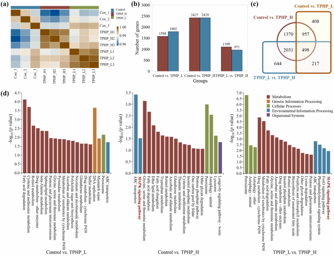 【派森诺项目文章】IF13.6！转录组学助力探究磷酸三苯酯(TPHP)诱导秀丽隐杆线虫生殖毒性的分子机制 - 知乎