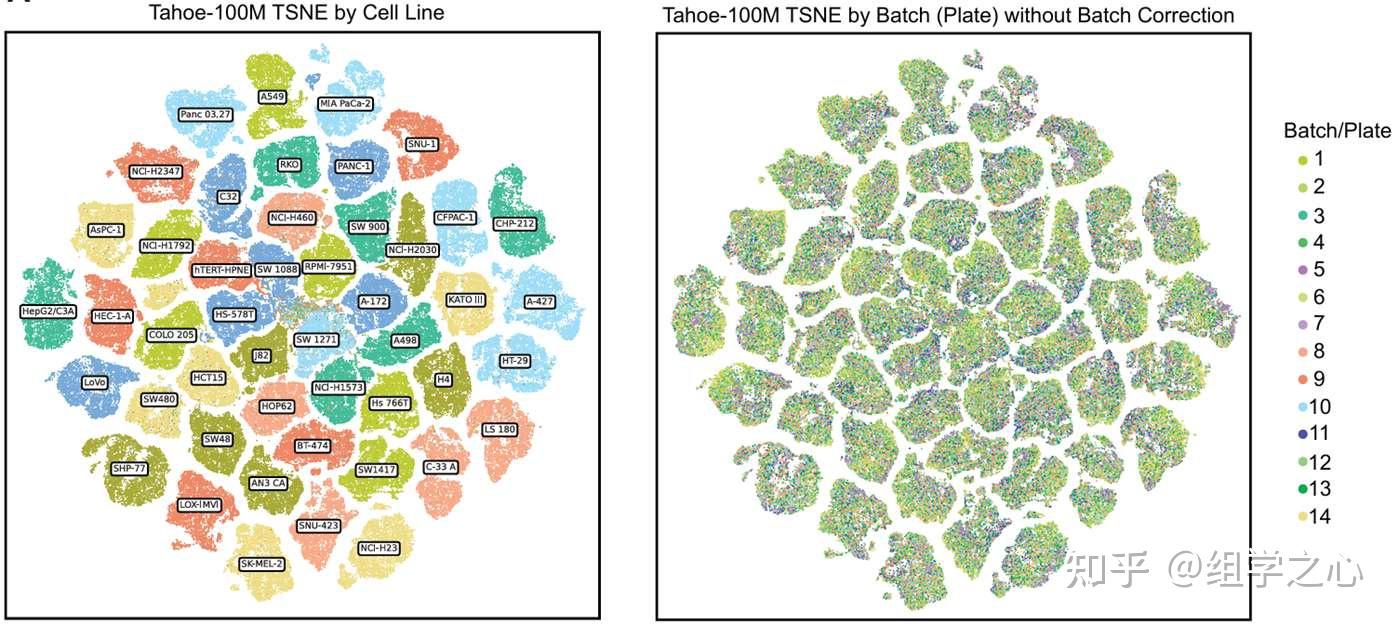 Tahoe-100M：现最大的1亿规模癌症单细胞转录组-药物治疗/扰动数据集 - 知乎