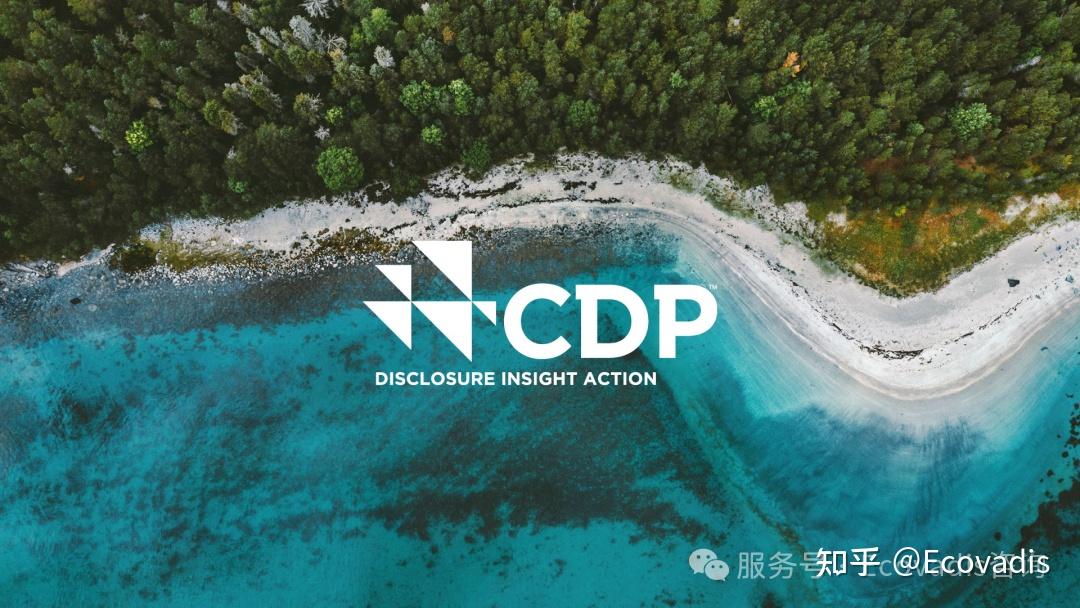 什么是CDP碳披露？企业如何通过它迈向可持续发展？ - 知乎