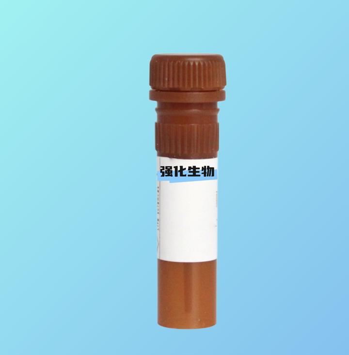 α-Factor Mating Pheromone, yeast的基本介绍与溶解步骤解析 - 知乎