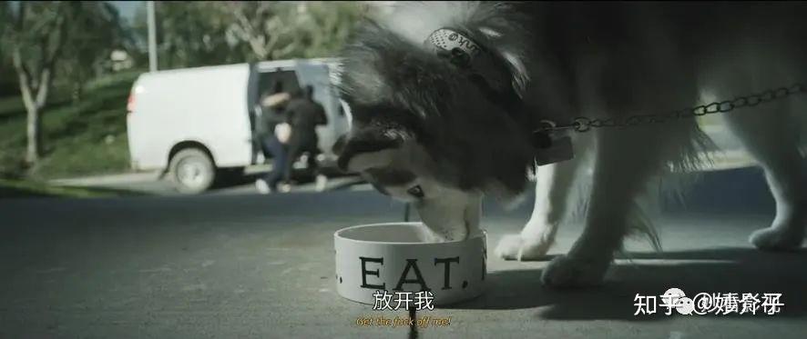如何评价惊悚电影《好像一条狗》（Like Dogs ，2021）？