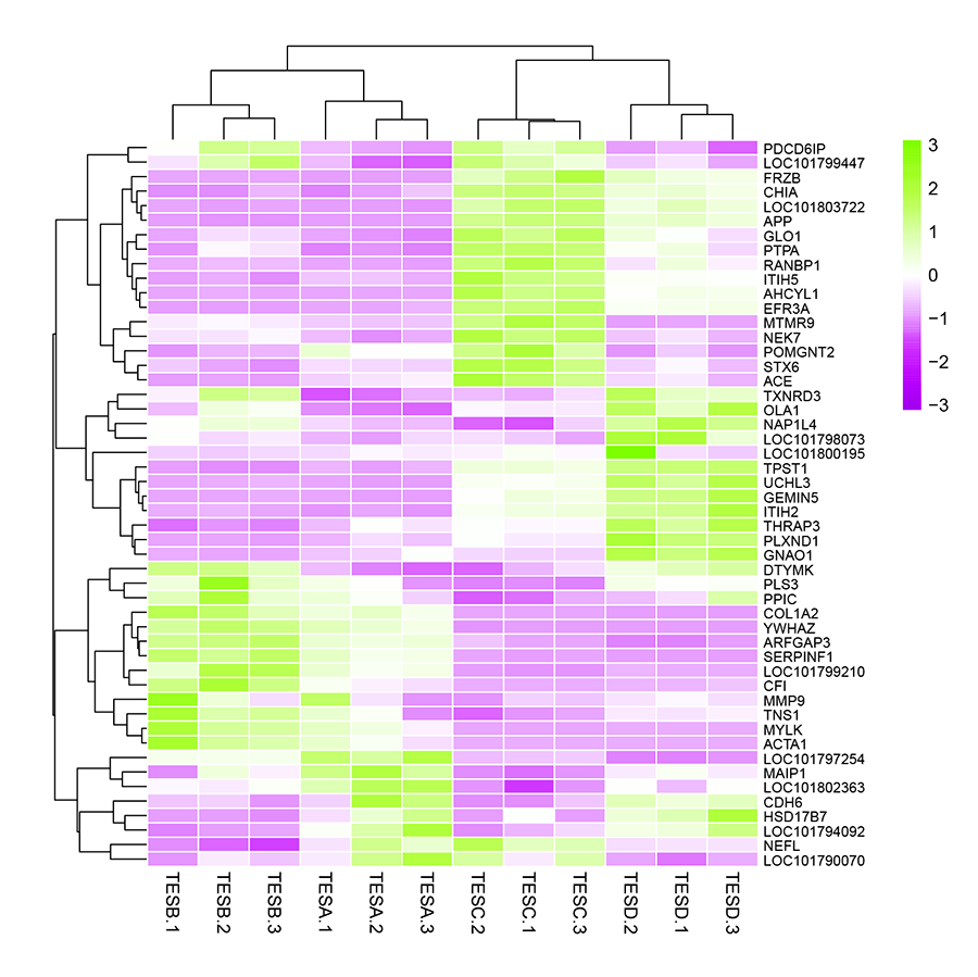 OmicShare生信工具|热图、网络热图、热图circos图……热图自由轻松享！！ - 知乎