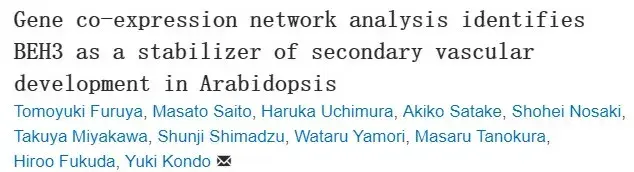 Plant Cell | 一个新的维管发育相关转录因子BEH3，在维管干细胞活性稳态维持中发挥作用 - 知乎