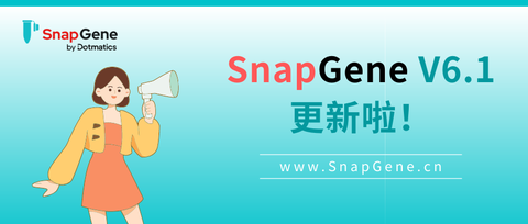 SnapGene V6.1 全新功能 — RNA二级结构 - 知乎