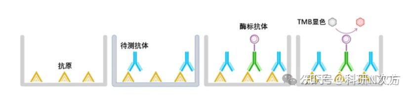 科研干货 | 导师以为你会，但不一定教你的ELISA技术 - 知乎