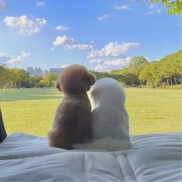 面向过程和面向对象编程 知乎