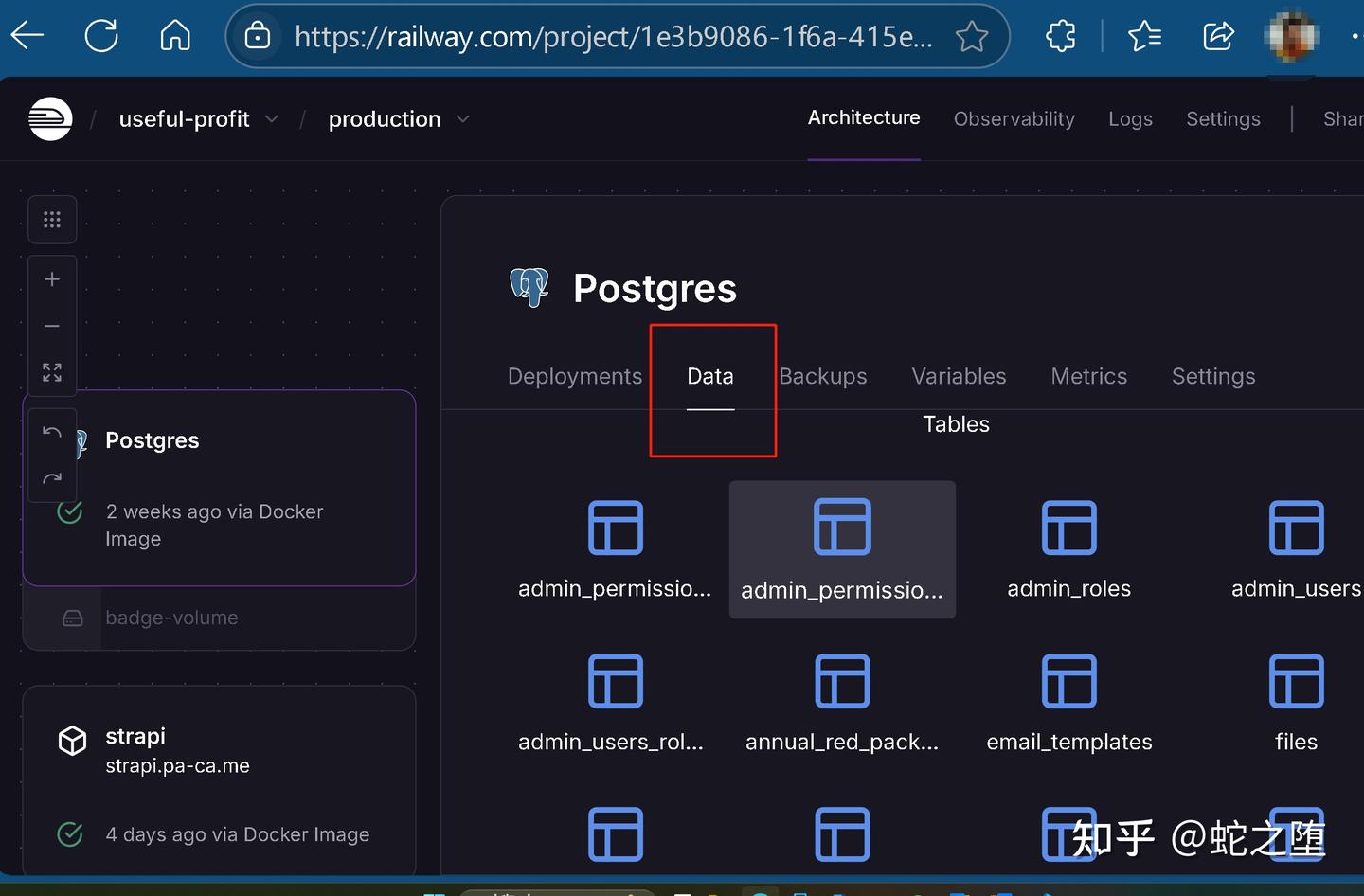 移除魔法：将 Strapi 从 v4 升级到 v5 的趣事 - 知乎