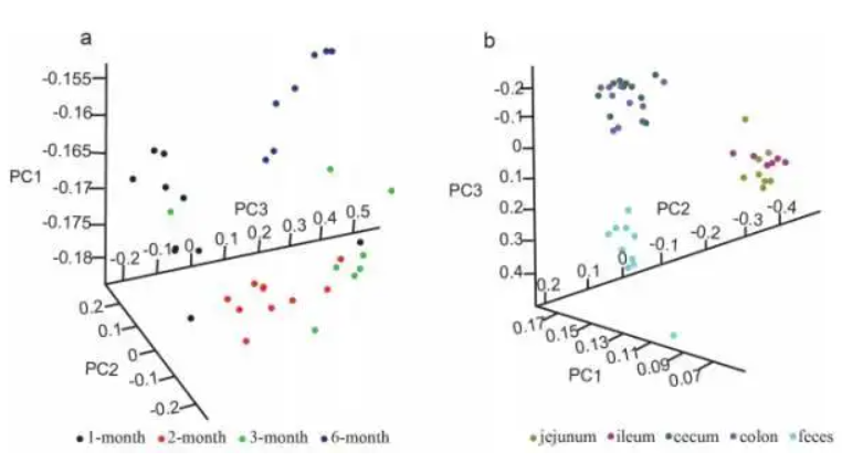 PCA主成分分析原理与基础知识 - 知乎