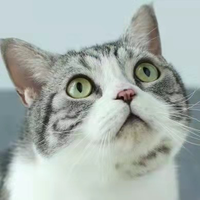 5分钟搞定 PostgreSQL 到 Doris 数据迁移和同步 - 知乎