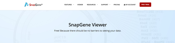 使用SnapGene viewer 寻找酶切位点和设计引物 - 知乎