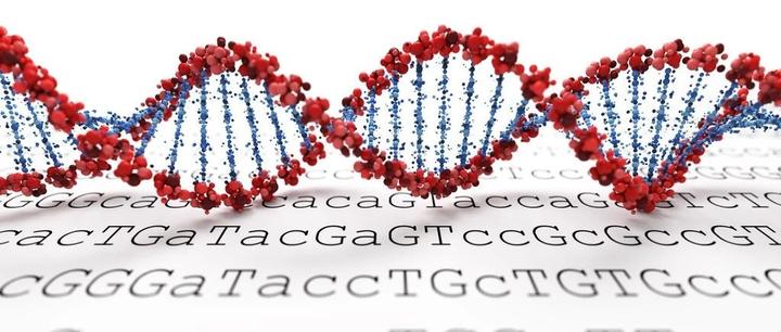 Genewise简介及安装 - 知乎