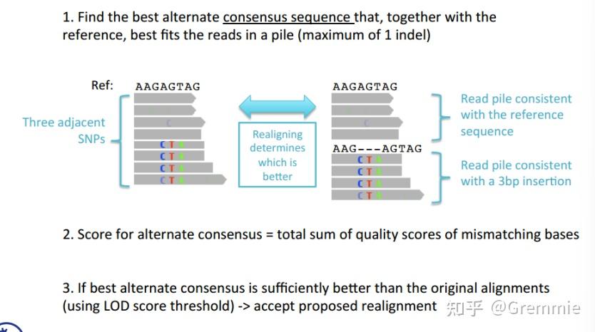 重测序数据分析（短序列的比对算法SNP/indel 和CNV/SV calling 方法） - 知乎