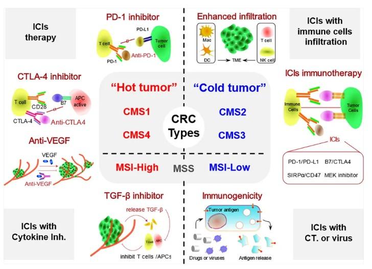 学术前沿丨MSS型结直肠癌免疫治疗挑战及探索 - 知乎