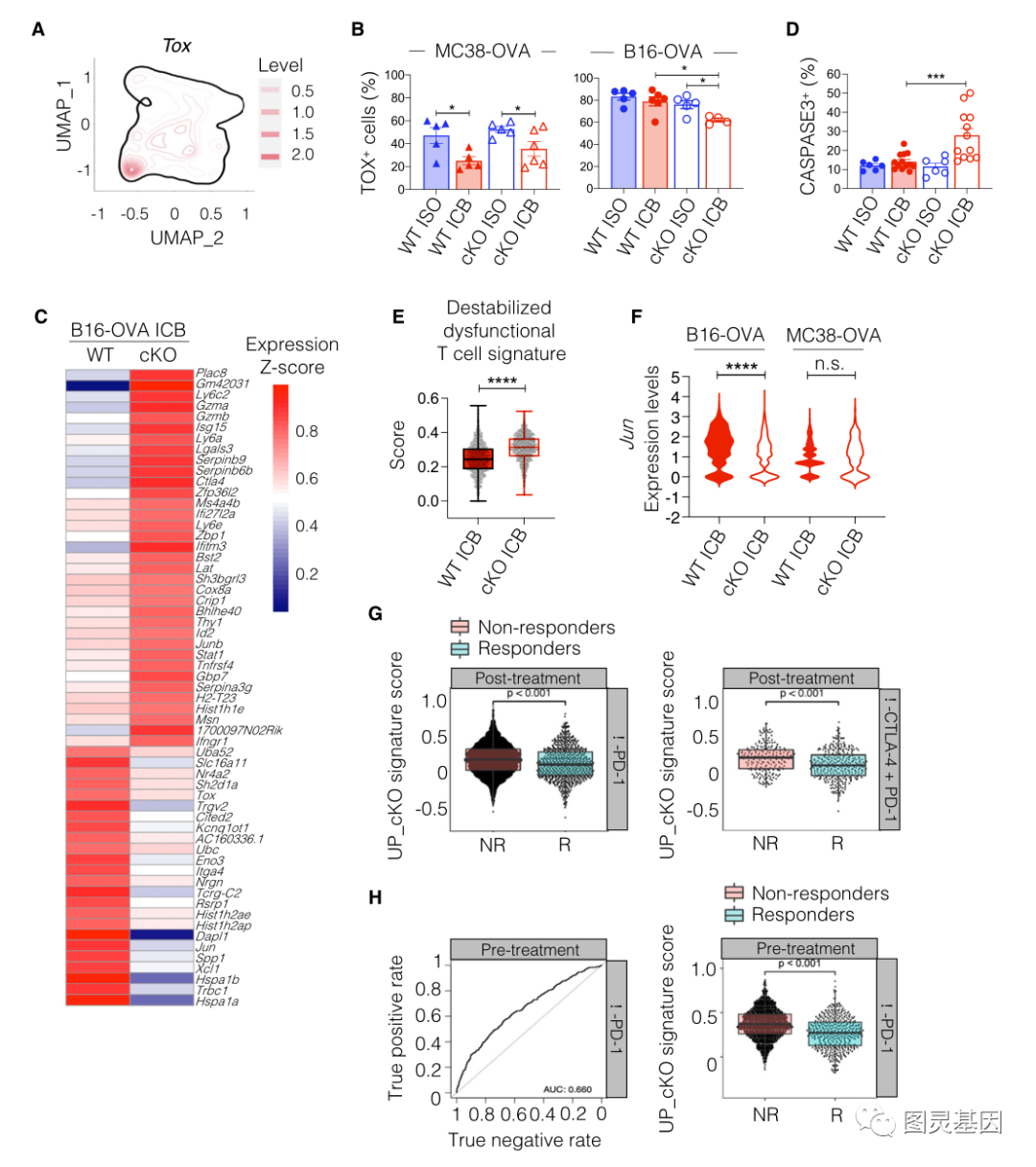 Can Cell | 哈佛医学院揭示肿瘤免疫原性决定免疫治疗对TCF1的依赖性 - 知乎