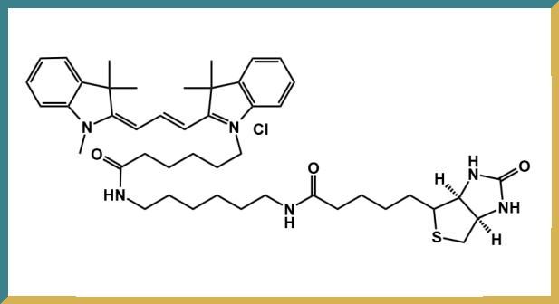 Cyanine3-Biotin，花菁素CY3-生物素的使用方法（保姆级教程） - 知乎