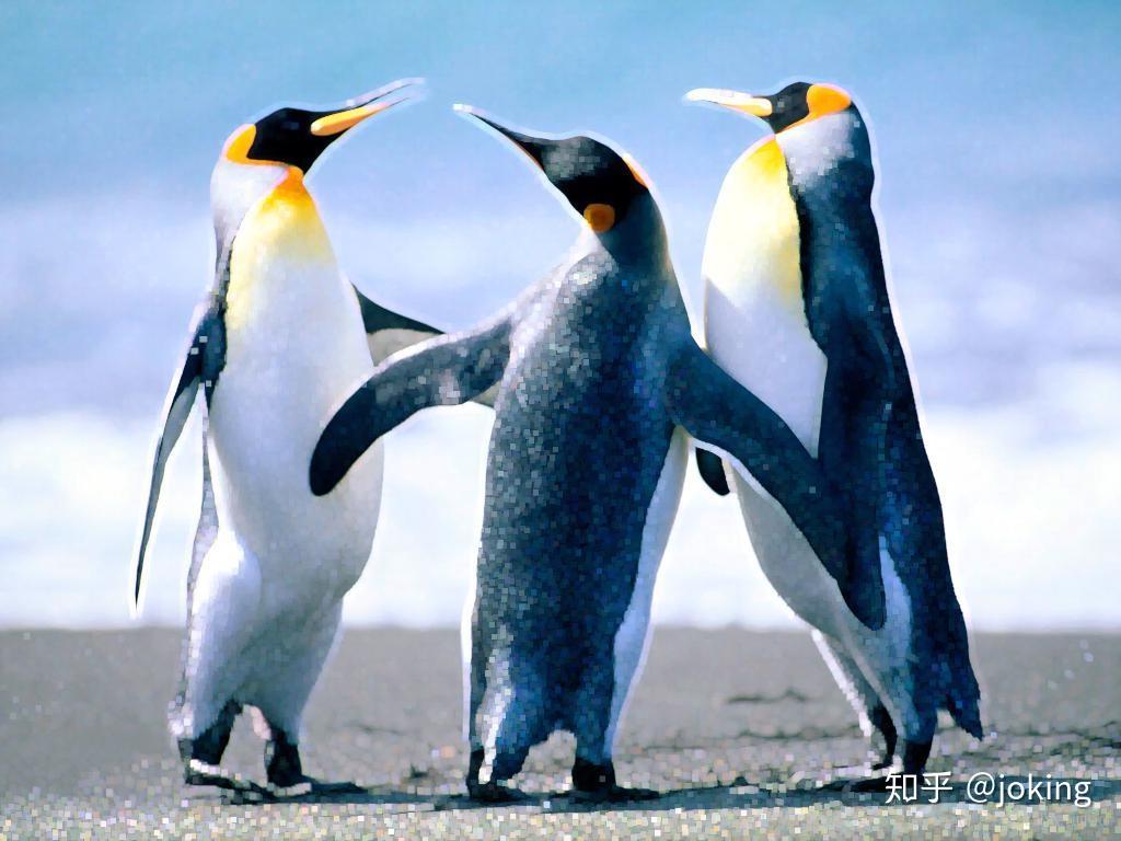 Python图像处理之Pillow--ImageFilter介绍 - 知乎