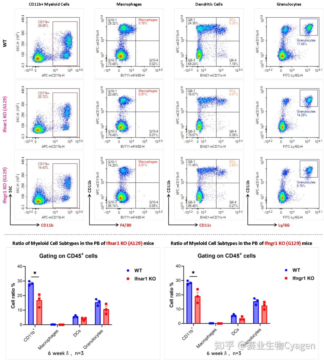AG129小鼠（129背景）：虫媒病毒研究模型 - 知乎