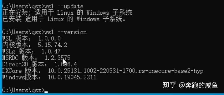 WSLg正式支持Windows10 - 知乎