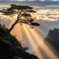 Equivital 无线生理监测设备与 LabChart 实时数据采集分析详解 - 知乎