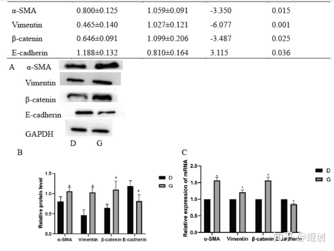 高脂环境下（游离脂肪酸FFA、PA、OA）对肝癌细胞（HepG2）E2F1的影响 - 知乎