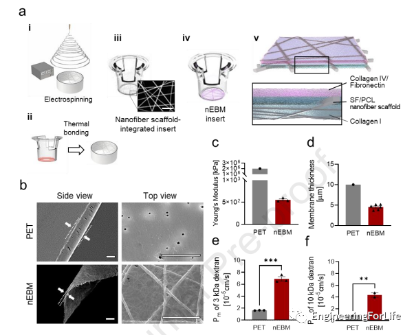 《Biomaterials》：新型体外血脑屏障模型表现出强大屏障特性 - 知乎