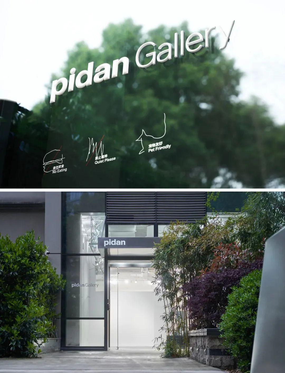 猫咪革命：pidan品牌的兴起与未来展望 - 知乎