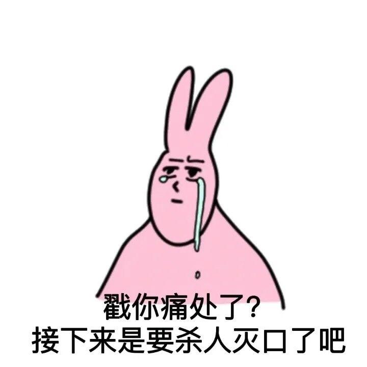 粉红兔子表情包 - 知乎