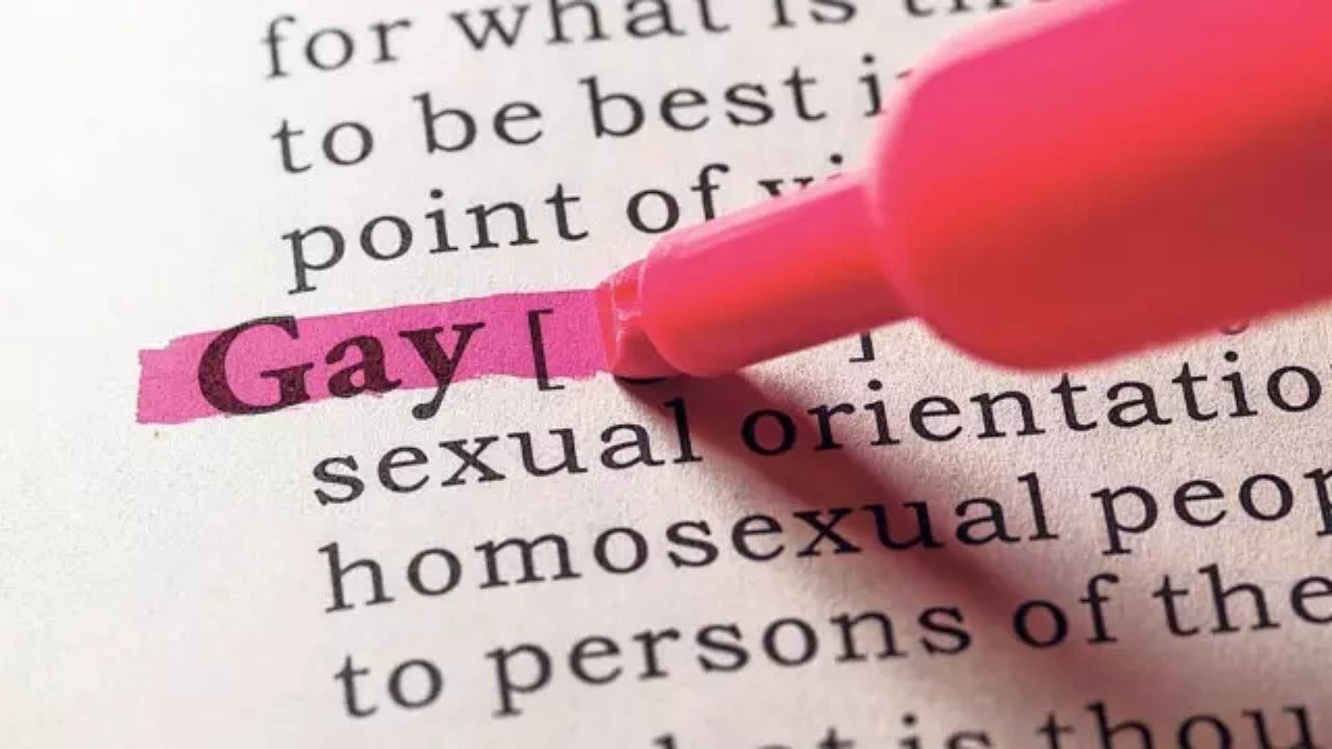 “Gay” 什么时候有了现在这个意思？ - 知乎