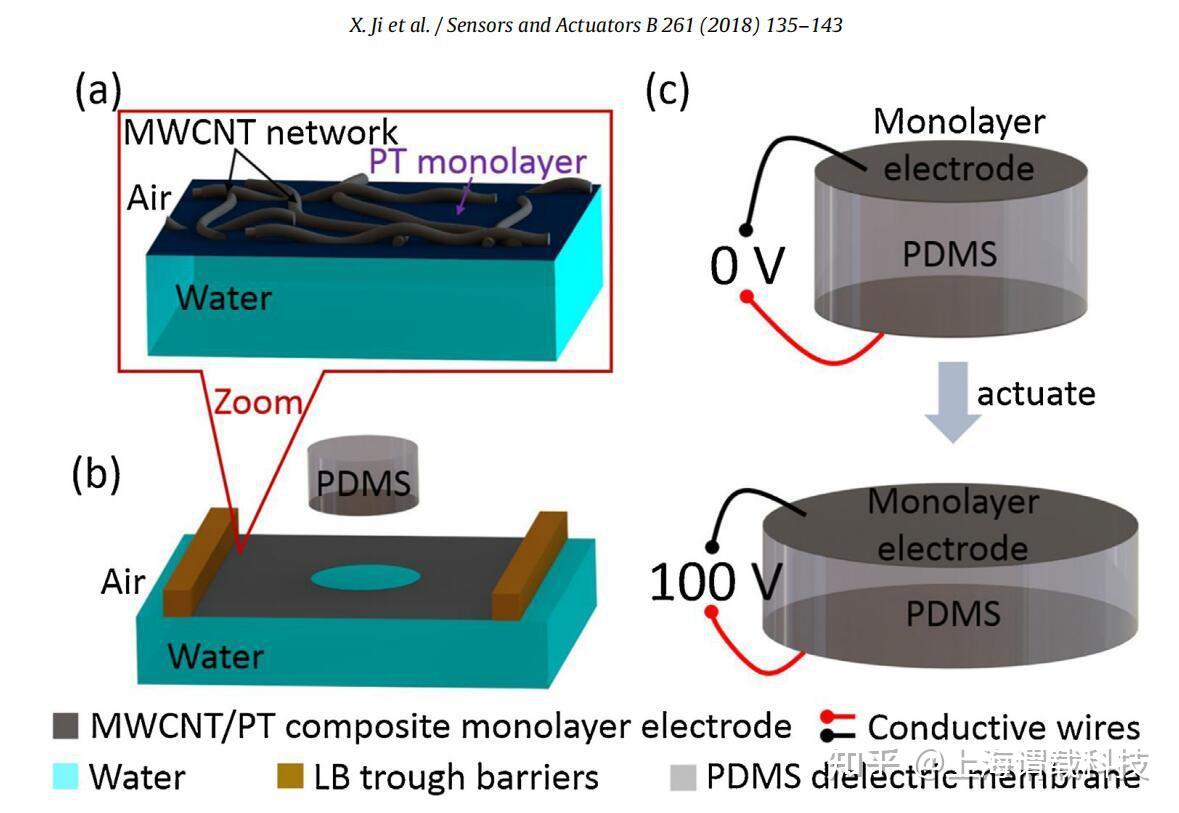 基于Langmuir-Schaefer（LS）转移电极制备介电弹性体致动器（DEA）的电极（一） - 知乎