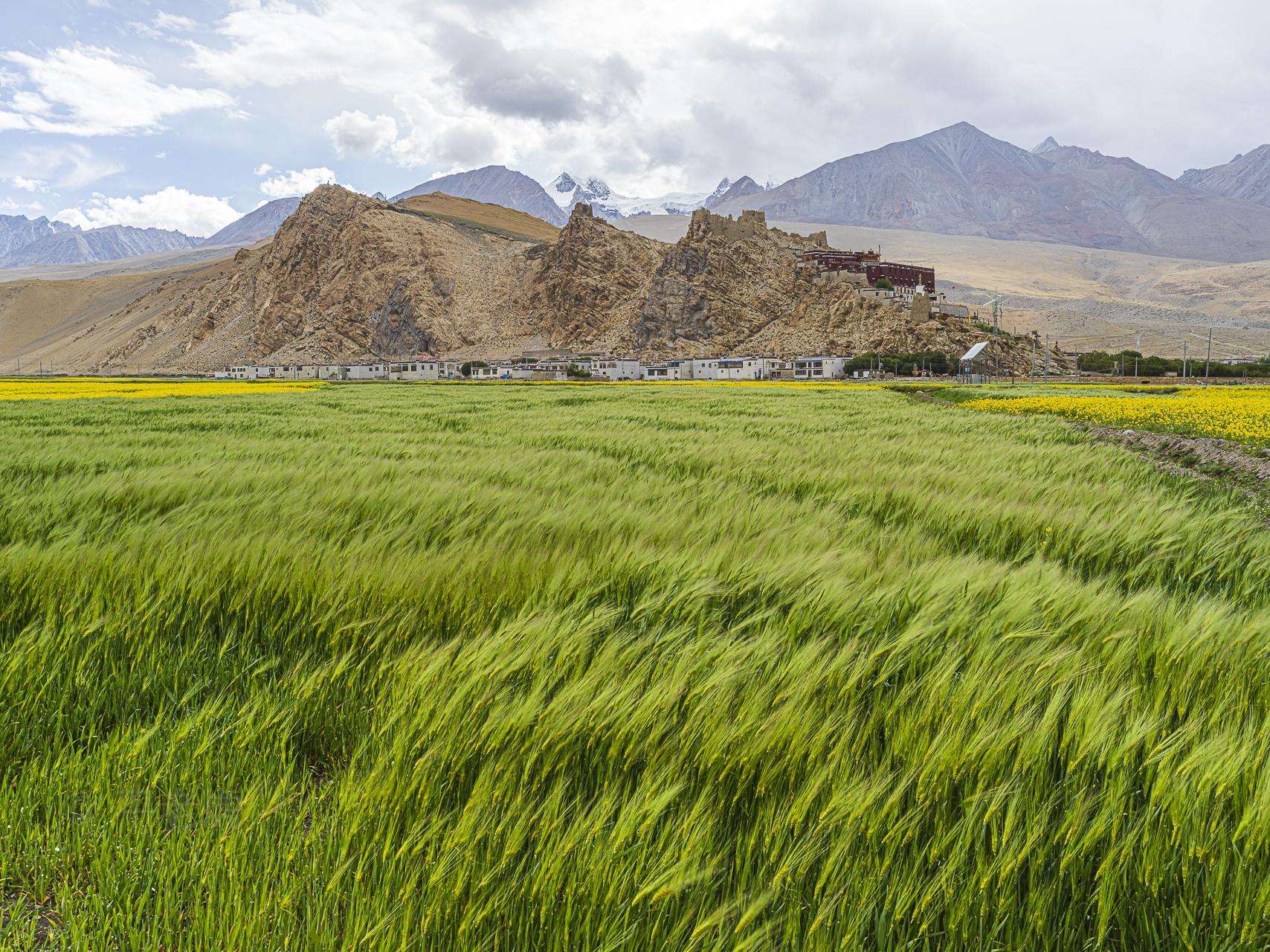 选择哈苏 X1D2 还是索尼 A7M4？ - 知乎