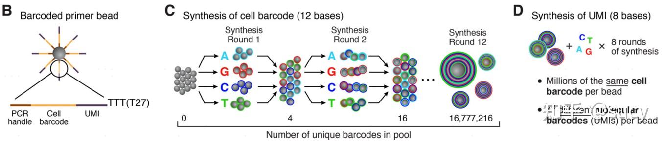 单细胞分离方法与barcode beads设计 - 知乎