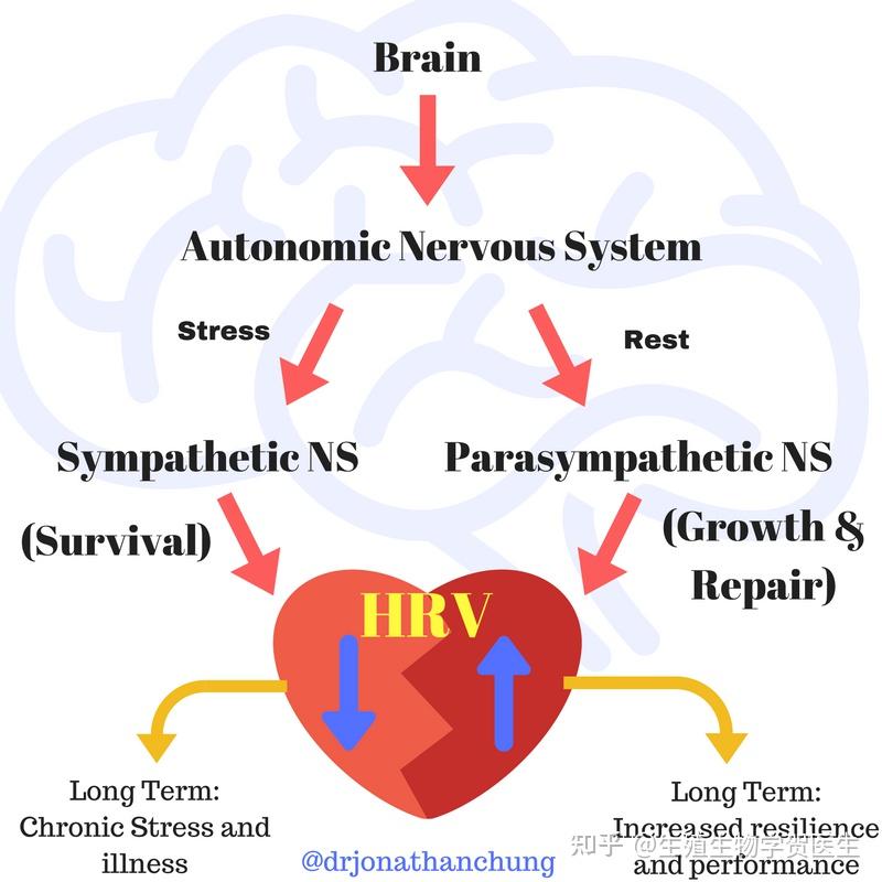 压力和心率变异性值 HRV：文献的荟萃分析和回顾 - 知乎
