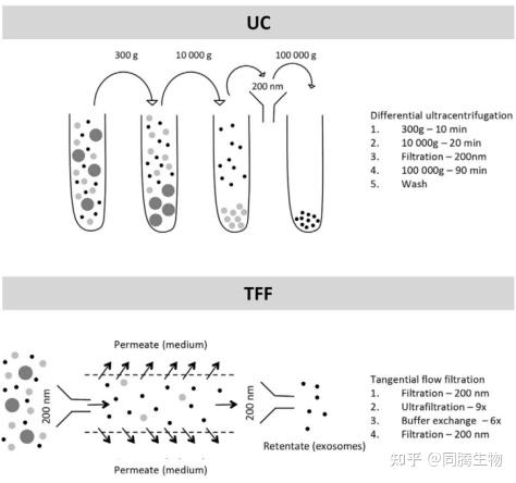案例应用丨TFF技术实现植物外泌体的精准捕获与高效纯化 - 知乎