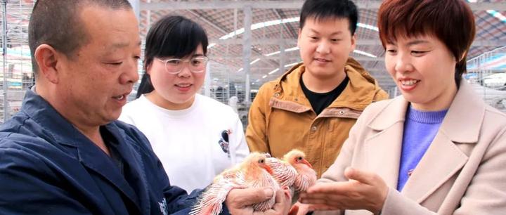 代表委员履职记丨全国人大代表陈影： 下足“绣花功夫” 聚力“有效衔接” 知乎