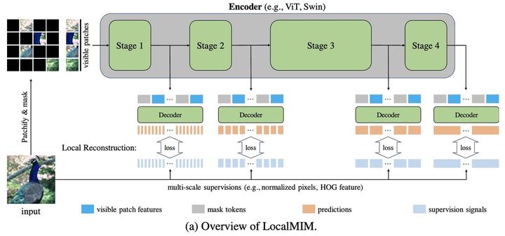 【CVPR2023】Masked Image Modeling with Local Multi-Scale Reconstruction - 知乎