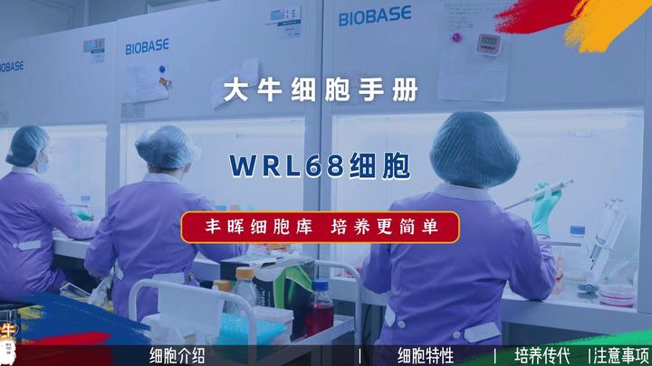 WRL68细胞培养， 人肝细胞培养攻略 - 丰晖生物 - 知乎