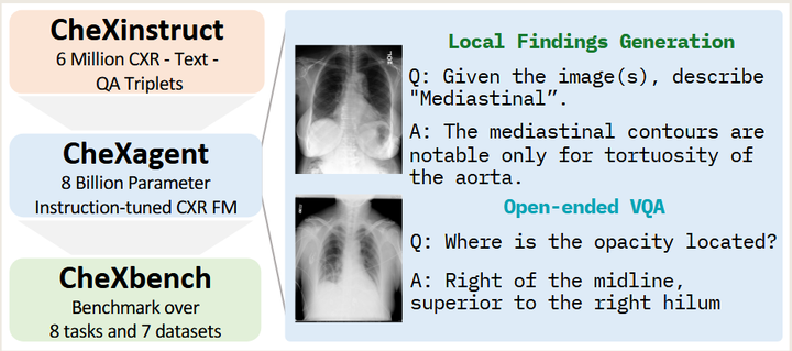 论文笔记：CheXagent: Towards a Foundation Model for Chest X-Ray ...