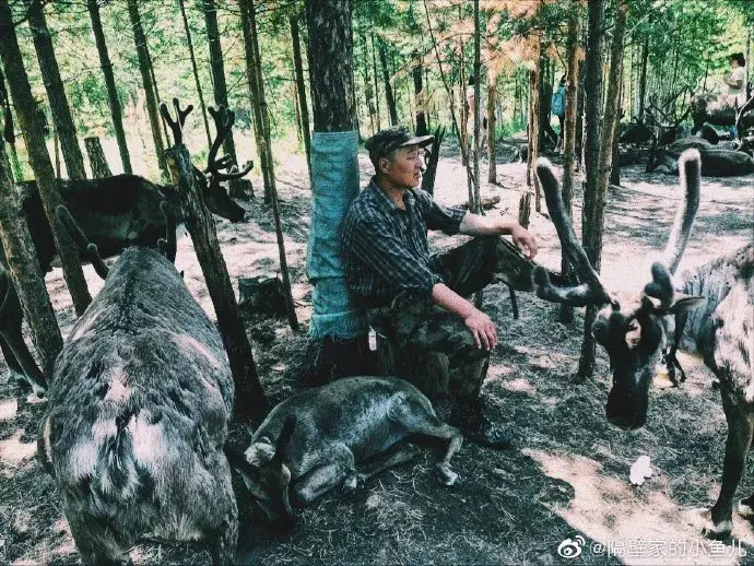 【STARCer】怎样才能成为一个可爱的女孩子呢？我们一起大声告诉你~ - 知乎