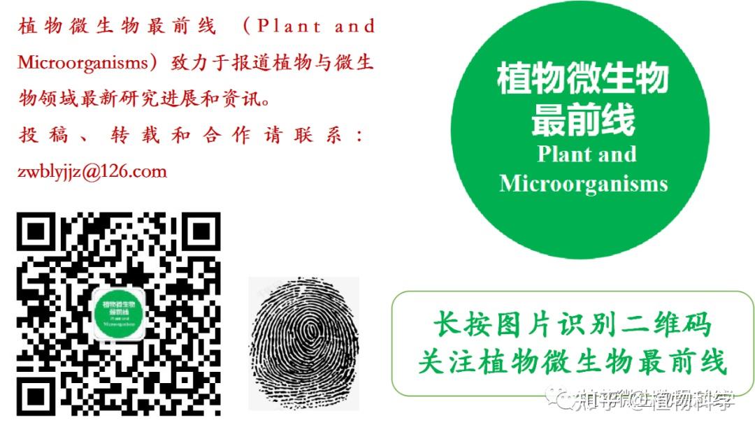 Mol Plant | 华中农大杨庆勇课题组发布“油菜界的TAIR”— BnIR（油菜多组学数据库） - 知乎
