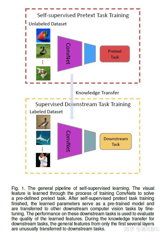 Self-supervised Visual Feature Learning with Deep Neural Networks A ...