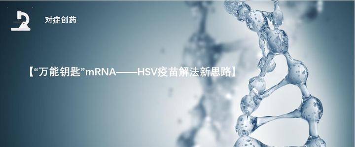 【对症创药】“万能钥匙”mRNA——HSV疫苗解法新思路 - 知乎