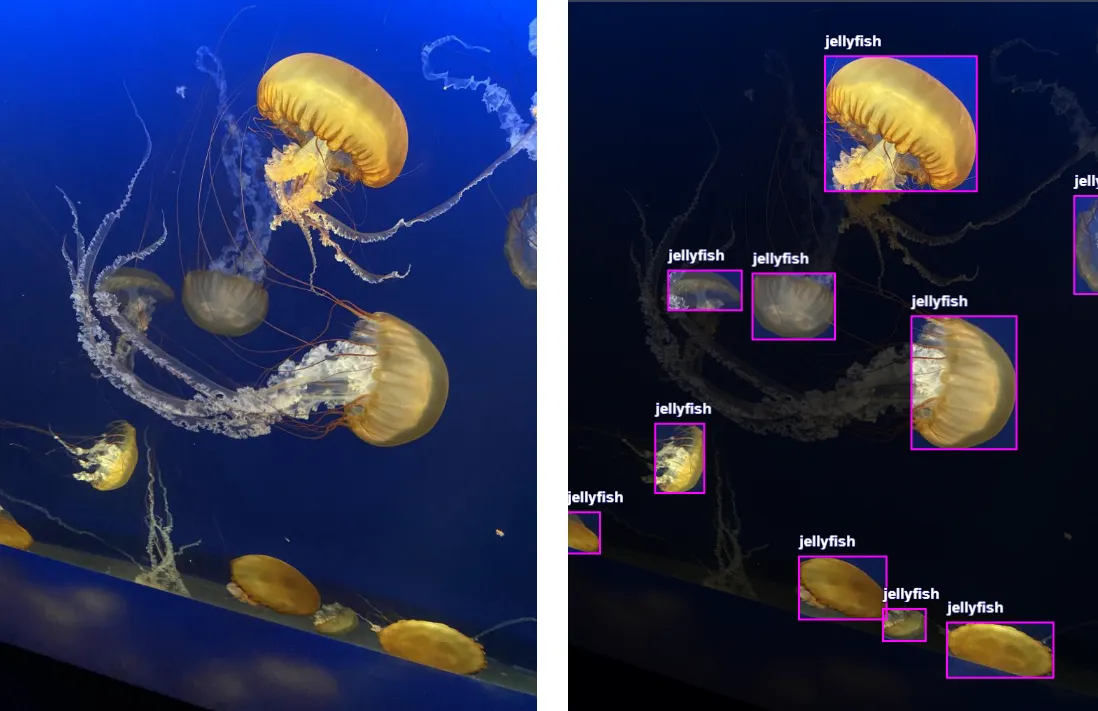 使用Detectron2进行目标检测并使用自定义数据集进行训练 - 知乎